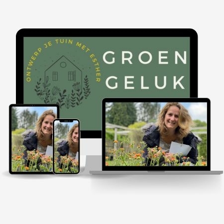 Wil jij snel en simpel je eigen tuin ontwerpen?