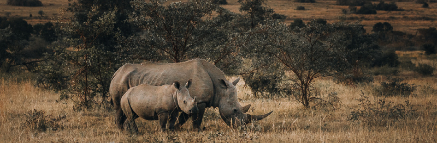 What is a Private Game Reserve and What is the Difference with a ...