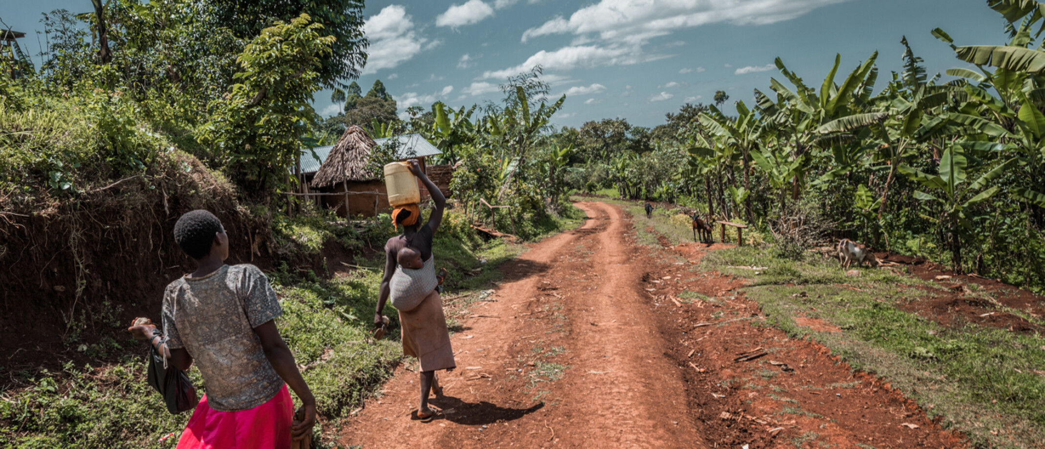 Interesting Uganda Facts | For Travelers to the Pearl of Africa