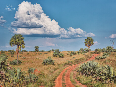 Weather in Uganda | Month-by-month Guide to choose your preferred period!