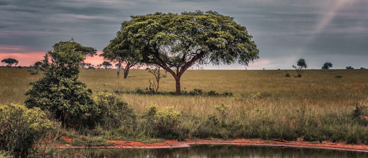 Weather in Uganda | Month-by-month Guide to choose your preferred period!