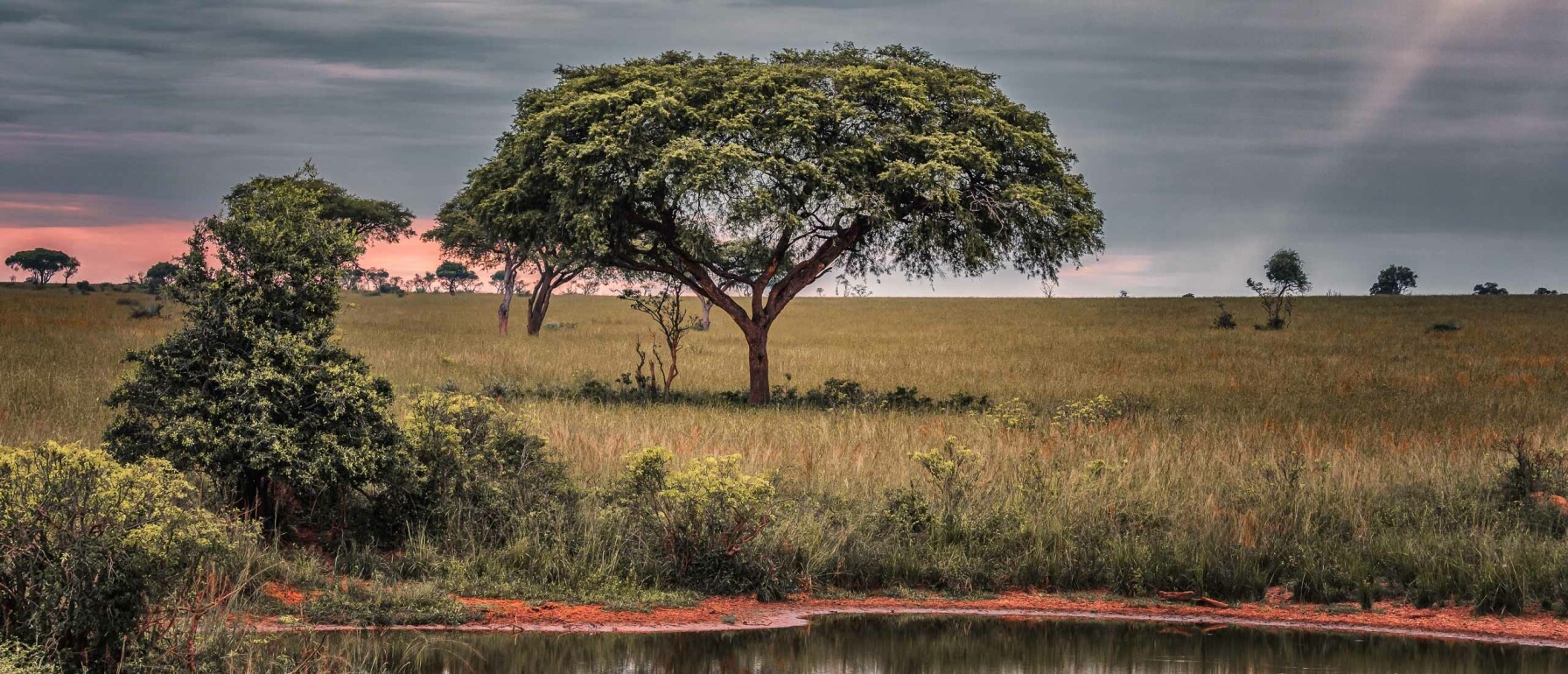 Weather in Uganda | Month-by-month Guide to choose your preferred period!