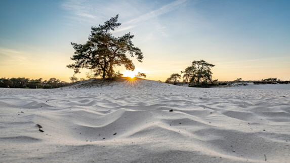 De Soesterduinen: dit zijn de mooiste wandelroutes