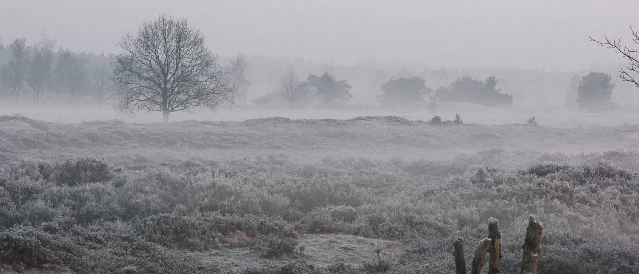 Het Nederlands Kustpad: een lange afstand wandelpad aan zee