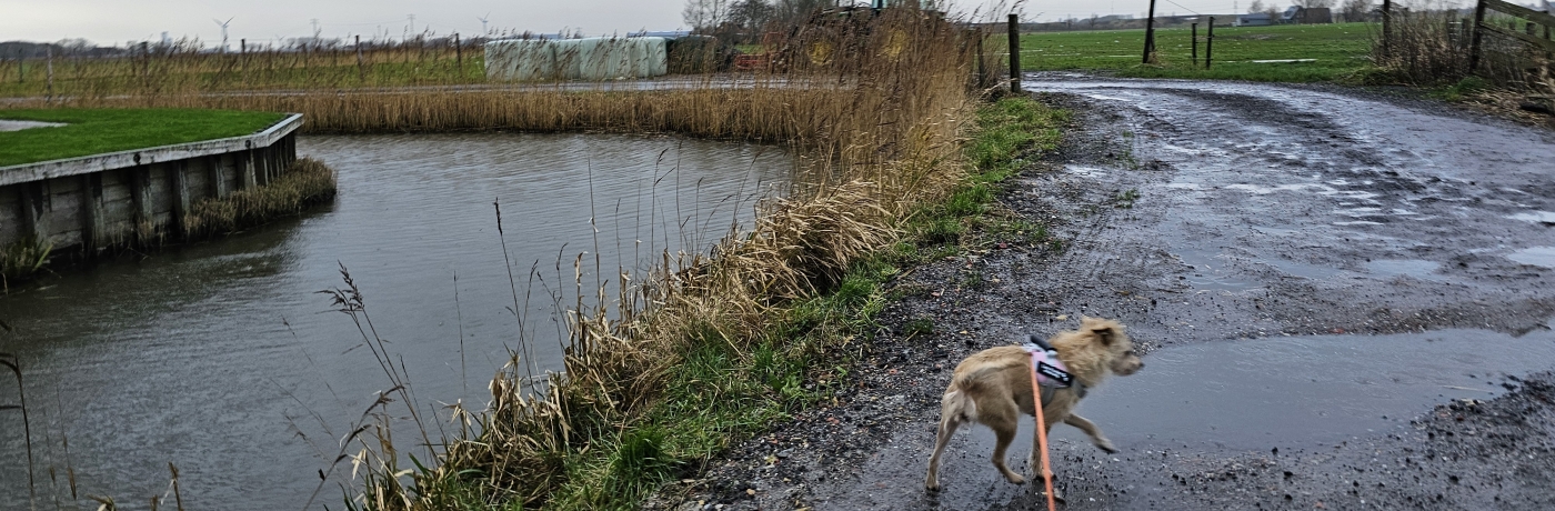 Review: overnachten op een boerderij in Hitzum
