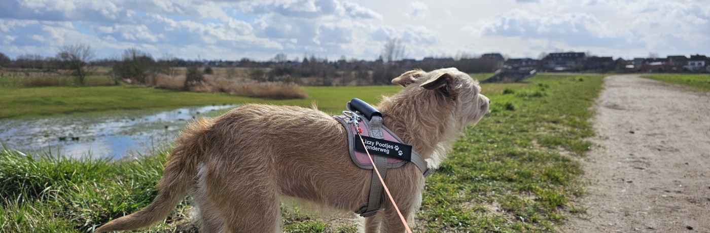 Wandelen in de Kalkense Meersen