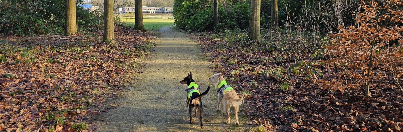 Het park en Peerdsbos in Brasschaat