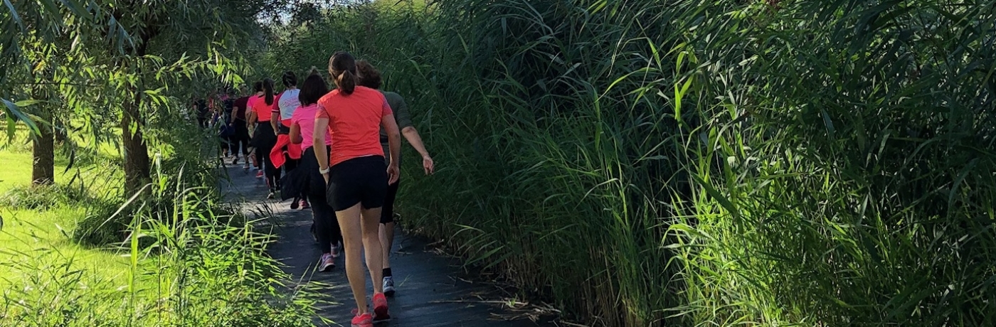 Powerwalking... wat is het?