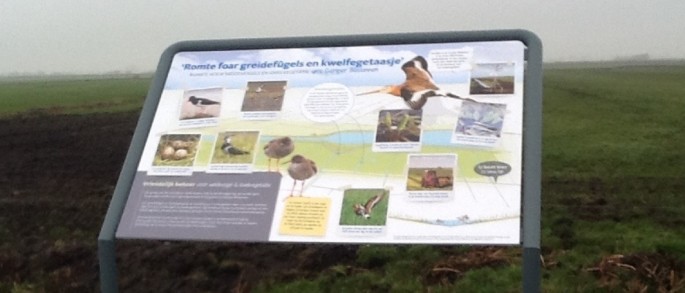 Maak een informatiebord met Canva - Pressart