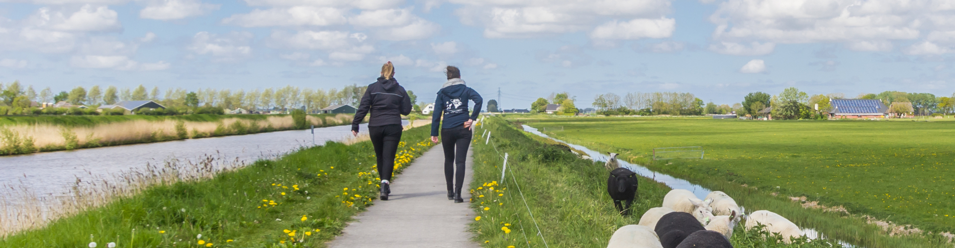 Coaching bij burn-out en stress | Meulenberg Training & Coaching