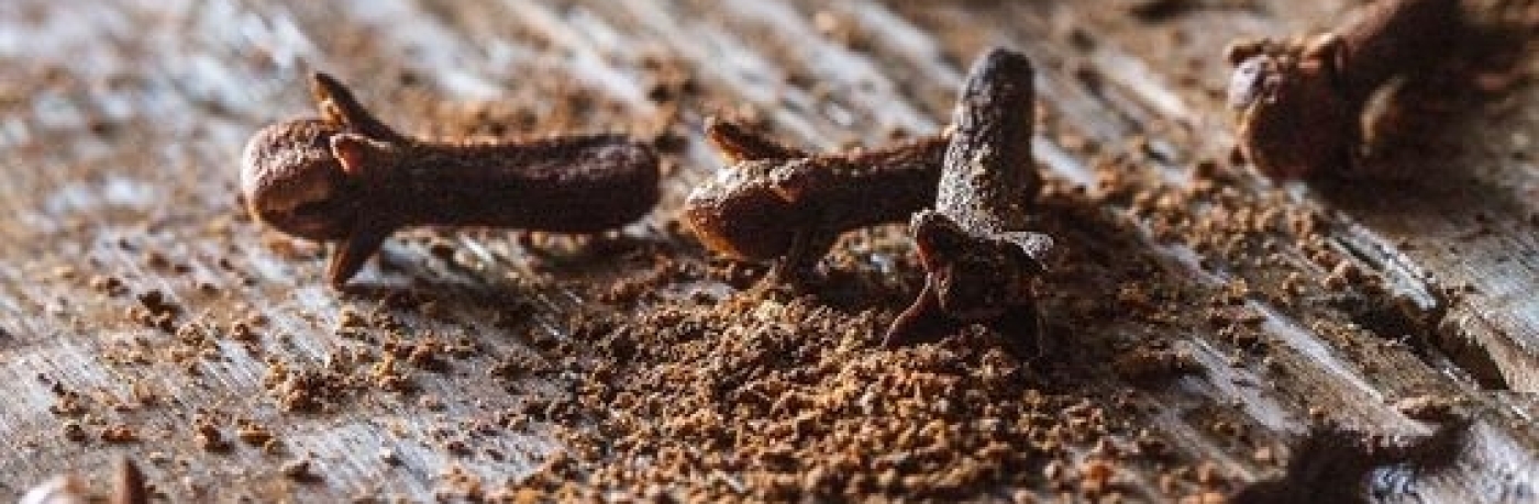 Wat zijn de verschillende toepassingen en toepassingen van kruidnagel?