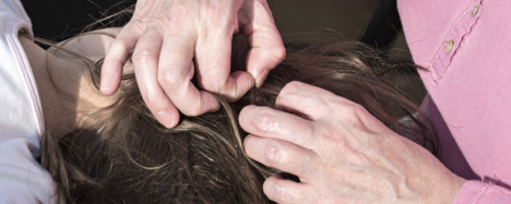 Luizen | Oorzaak, herkennen, behandelen | Sproet