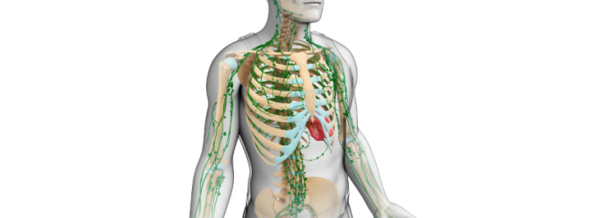 Lymfoedeem benen, arm | Behandelen | Sproet
