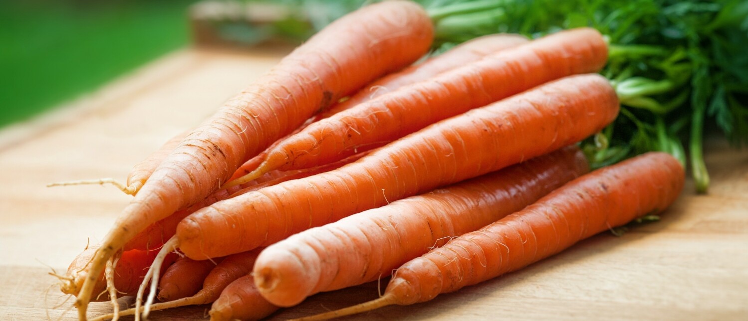 Strontium & gezondheid | Tips voeding & strontium