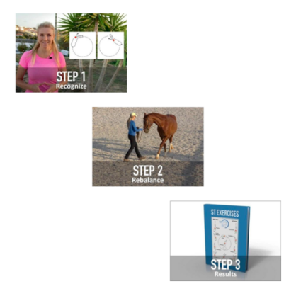 Where To Start with Straightness Training? | By Marijke de Jong