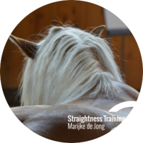 Where To Start with Straightness Training? | By Marijke de Jong