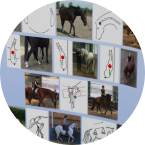 Where To Start with Straightness Training? | By Marijke de Jong