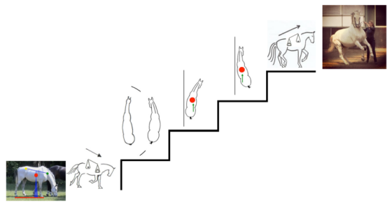 Canter Problems - Straightness Training