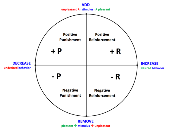 Operant Conditioning & Modern Science - Straightness Training
