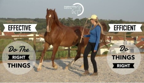 Operant Conditioning & Modern Science - Straightness Training