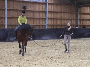 Riding a horse | Straightness Training