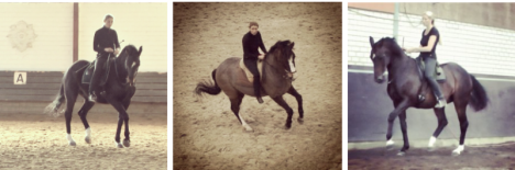 Riding a horse | Straightness Training