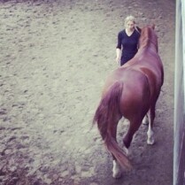 Work in hand | Straightness Training