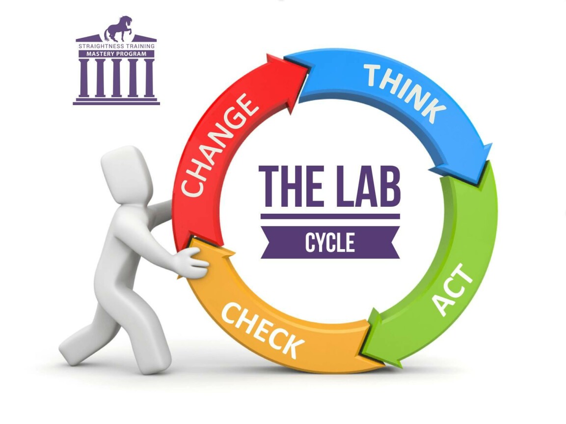 Be a Researcher in Your Lab | Straightness Training