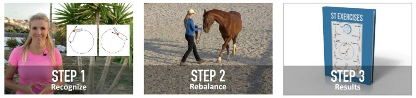 How to Inspire your Horse