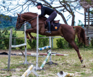 How to Mix ST with Other Types of Riding | Straightness Training