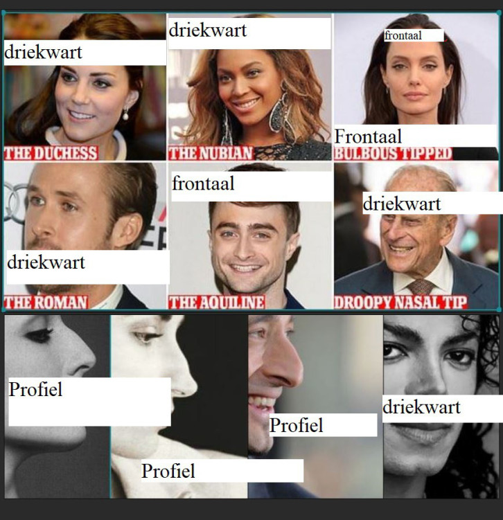 Hoe teken je een neus?