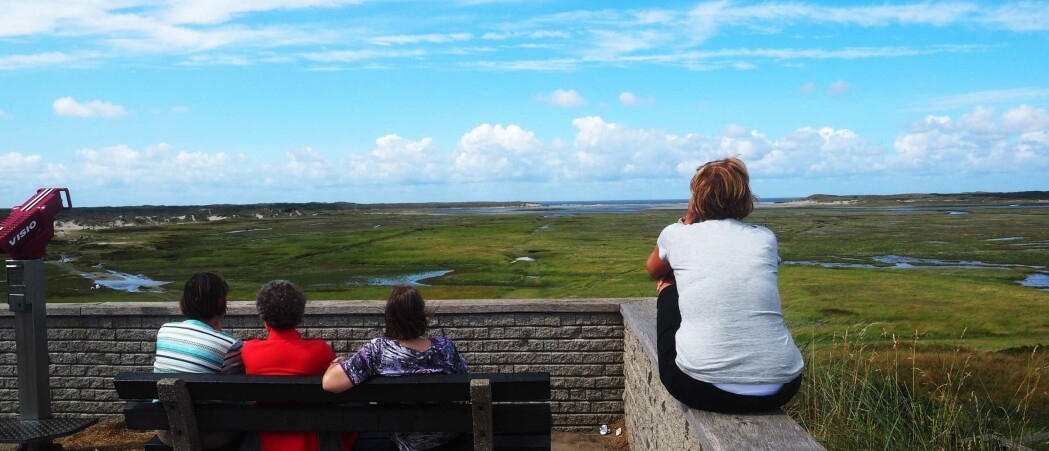 Wist je datjes van Texel? | Lees Marcel zijn blog