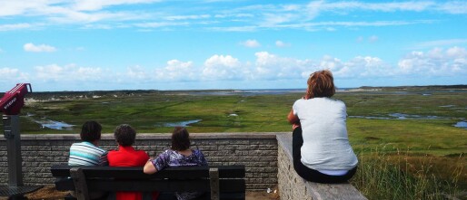 Wist je datjes van Texel? | Lees Marcel zijn blog
