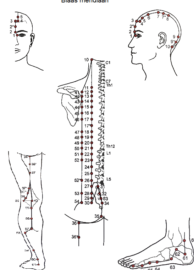 Meridianen test bij Holistisch therapeut Delft
