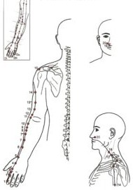 Meridianen test bij Holistisch therapeut Delft