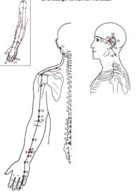 Meridianen test bij Holistisch therapeut Delft