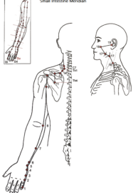 Meridianen test bij Holistisch therapeut Delft