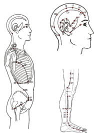 Meridianen test bij Holistisch therapeut Delft