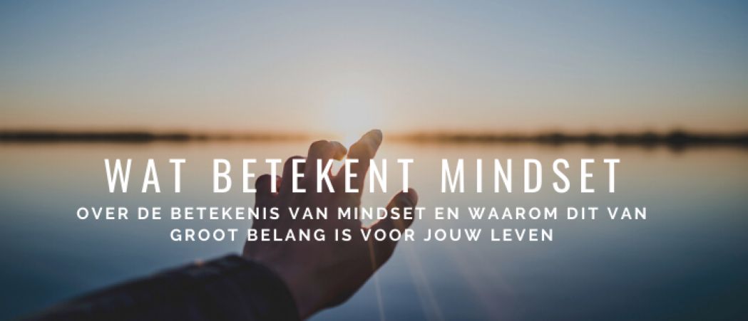 Fixed Mindset: Wat is een Statische Mindset? 7 Voorbeelden