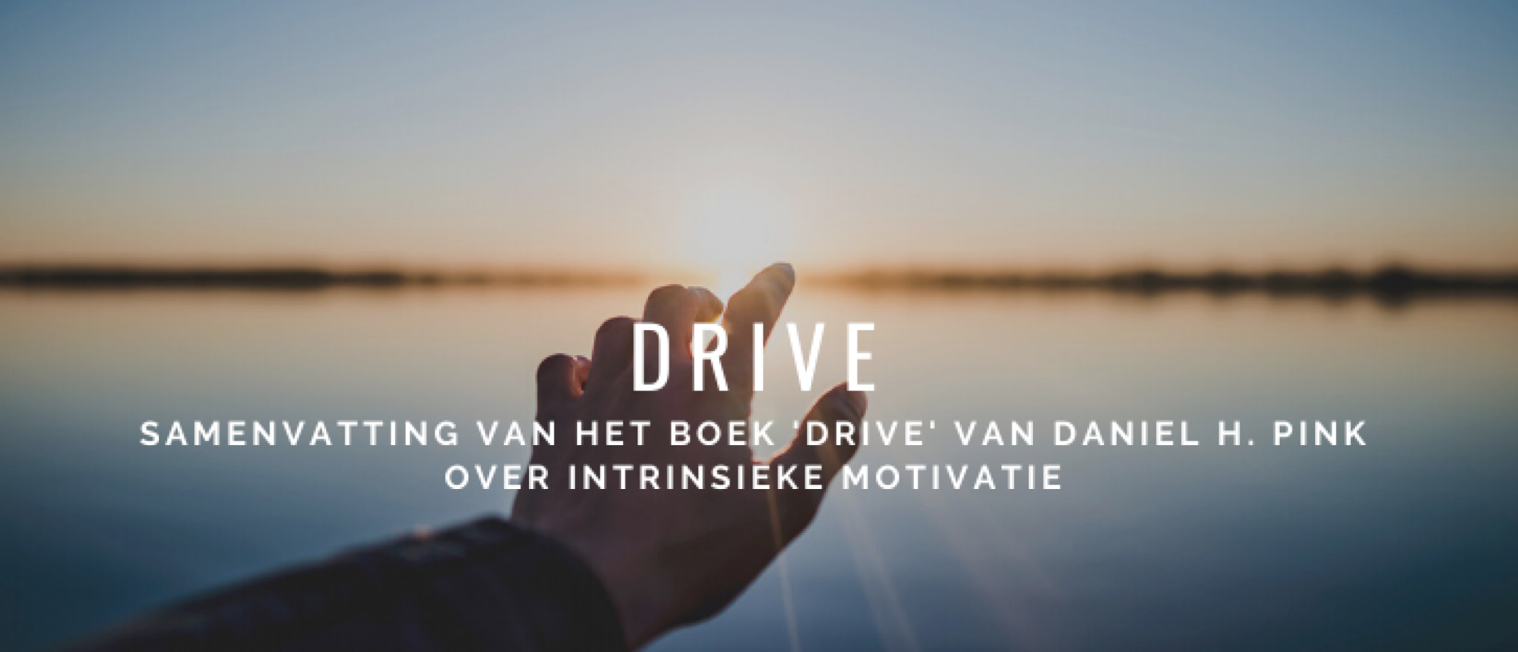 Samenvatting ‘Drive’ van Daniel H. Pink - Intrinsieke Motivatie