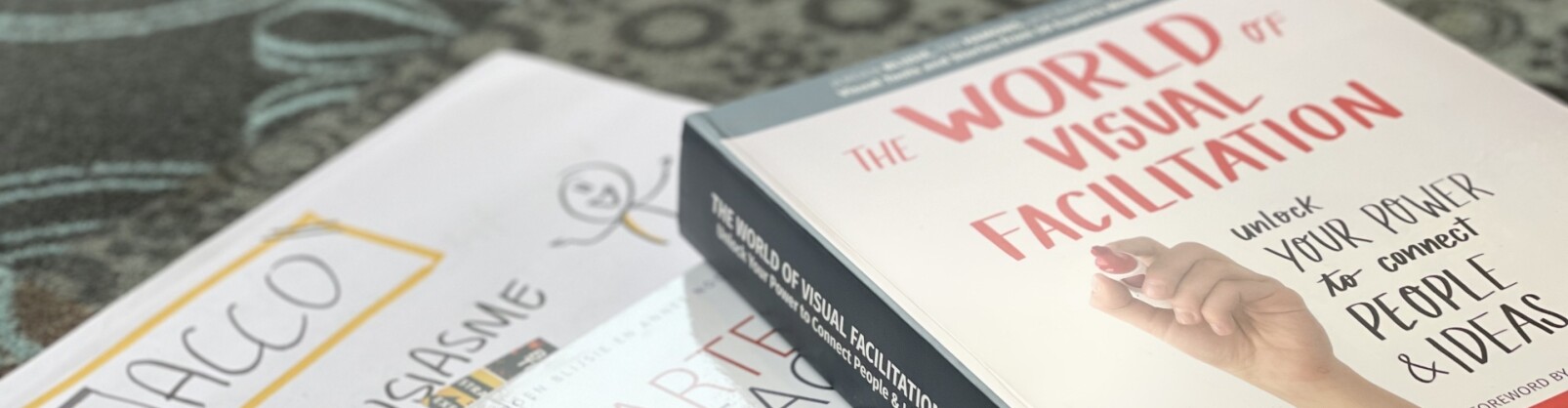 Buy The World of Visual Facilitation