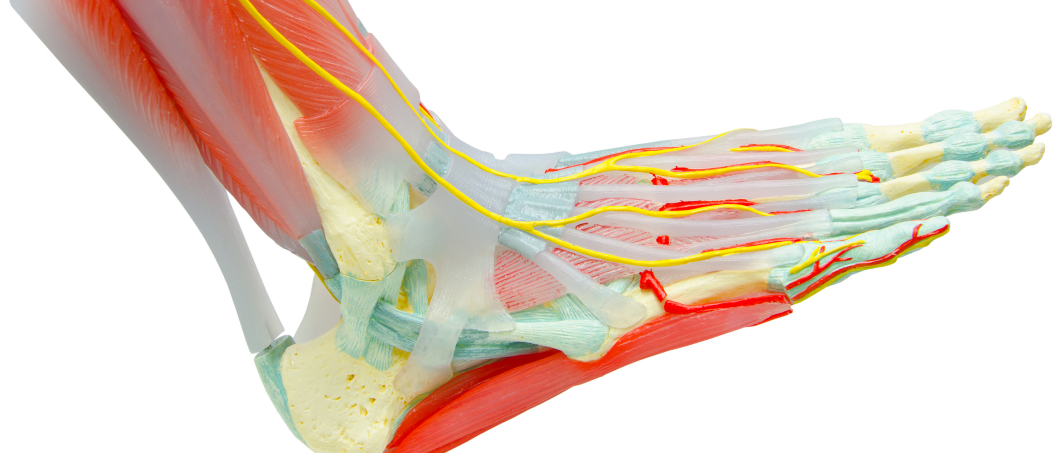Peesplaatklachten en de onderliggende emotionele oorzaak
