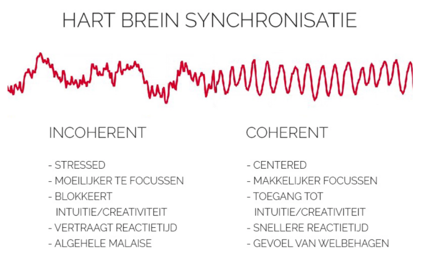 Hartcoherentie | Sara Decoopman