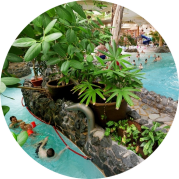 Zwembaden Winterberg