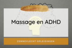 Online Massage thuiscursus van Zonnevlecht Opleidingen