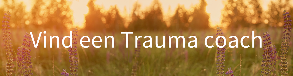 Vind een goed opgeleide Trauma coach van Zonnevlecht Opleidingen