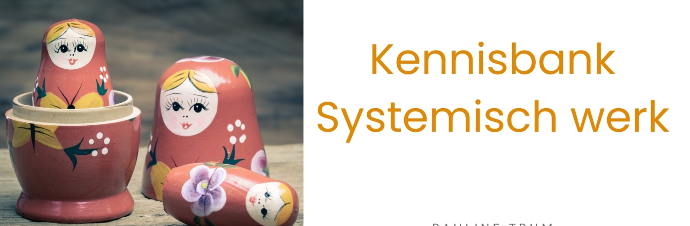 Kennisbank systemisch werk