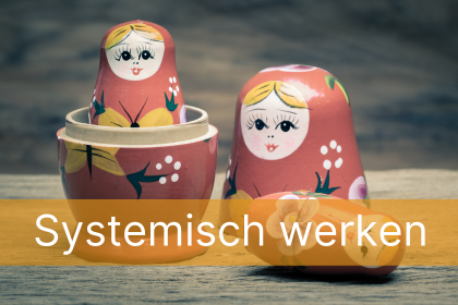 cursus systemisch werk bij Zonnevlecht Opleidingen