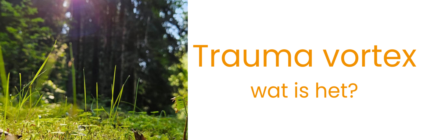 Blog wat is de Trauma vortex?