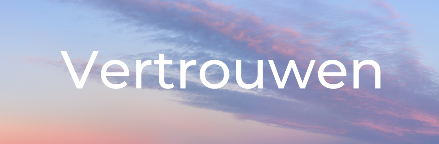 Blog Vertrouwen Zonnevlecht Opleidingen